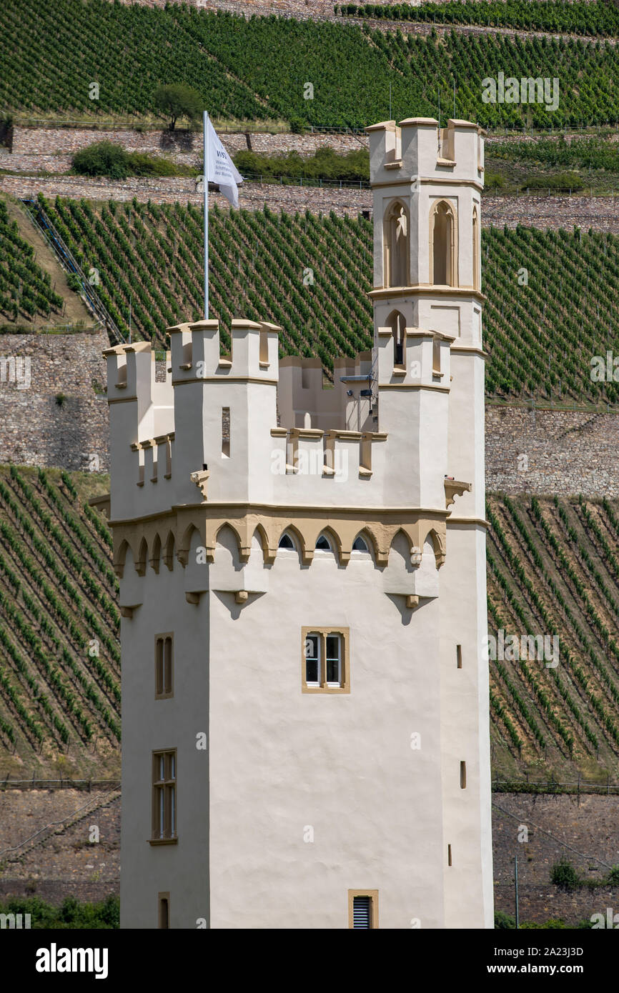 Binger Mouse Tower in the Rhine, in the Upper Middle Rhine Valley World ...