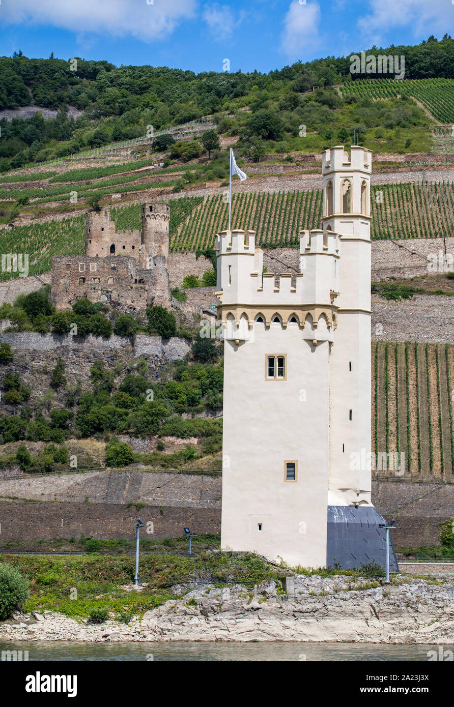 Binger Mouse Tower in the Rhine, in the Upper Middle Rhine Valley World ...