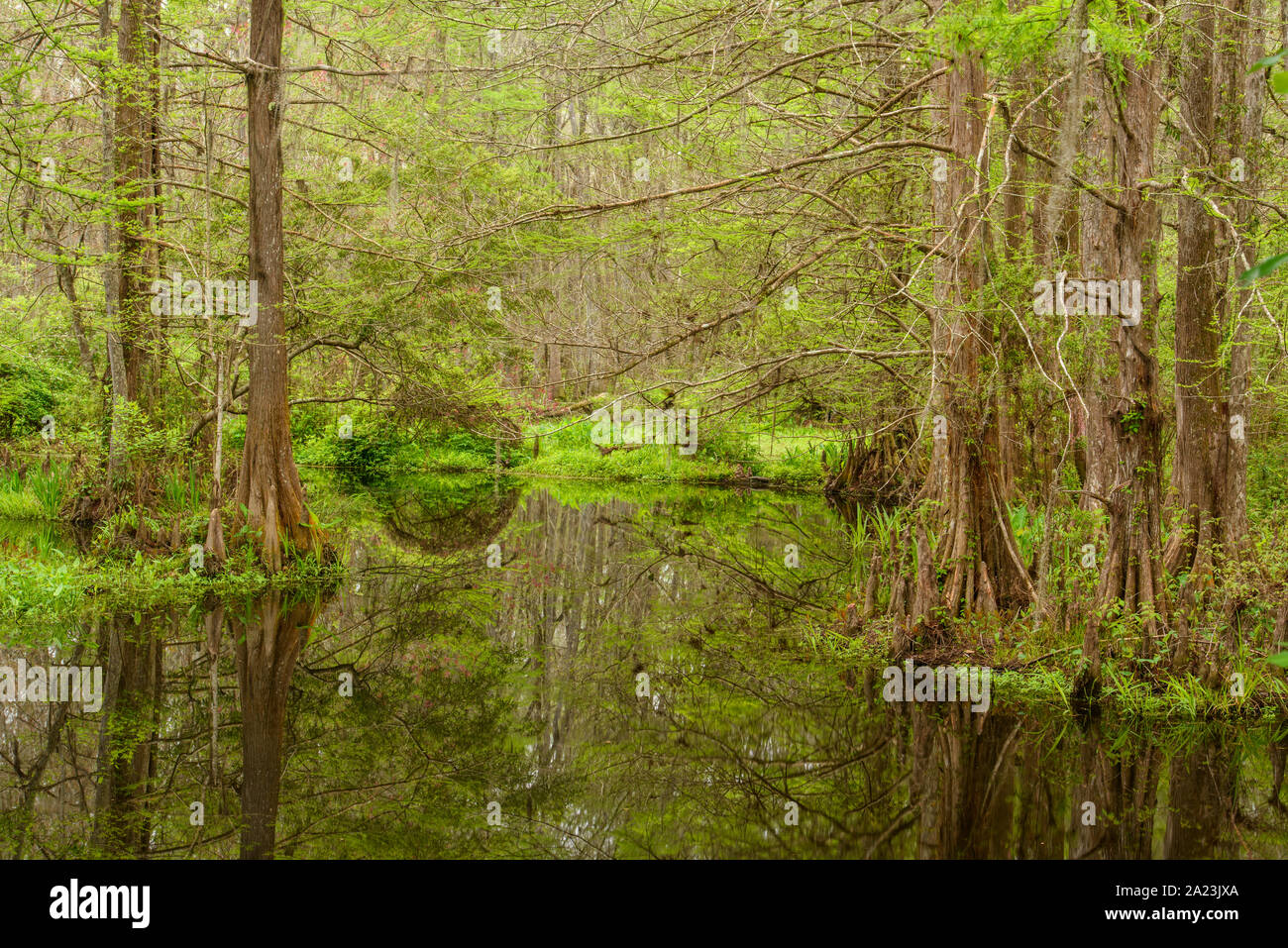 Serenity center hi-res stock photography and images - Alamy