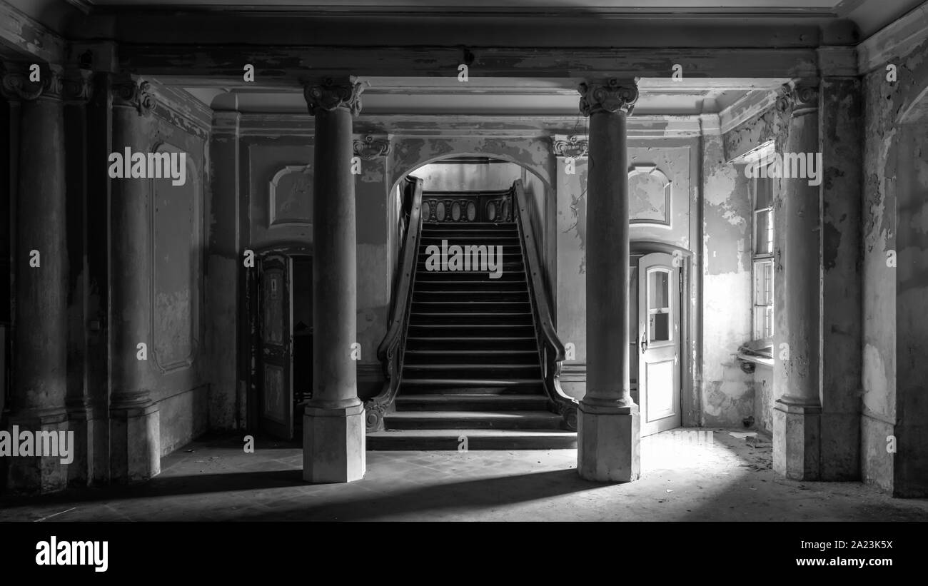 Horror woods Black and White Stock Photos & Images - Alamy