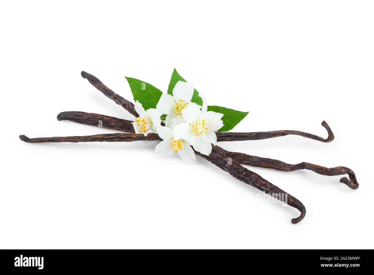 Vanilla sticks with flower and leaf isolated on white background Stock ...