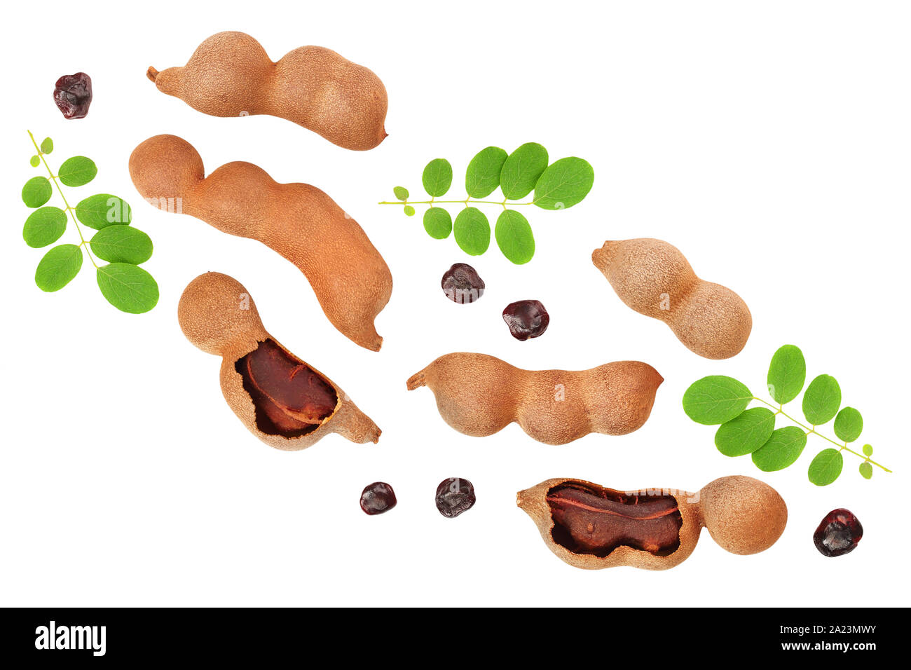 Tamarind fruit with leaf and seed isolated on white background, Top ...