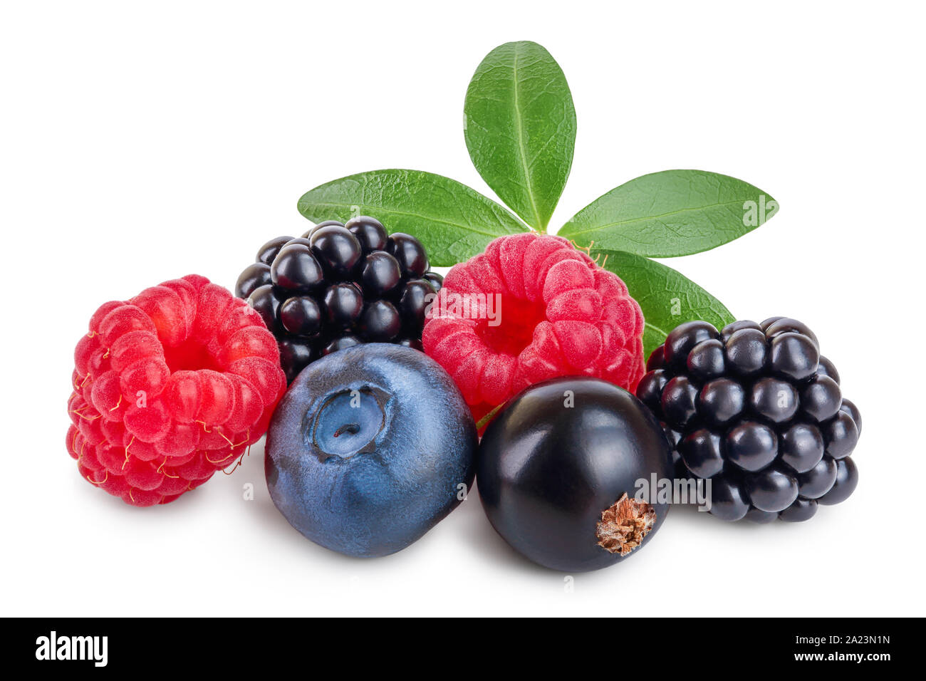 mix of blackberry blueberry raspberry with leaf isolated on white ...