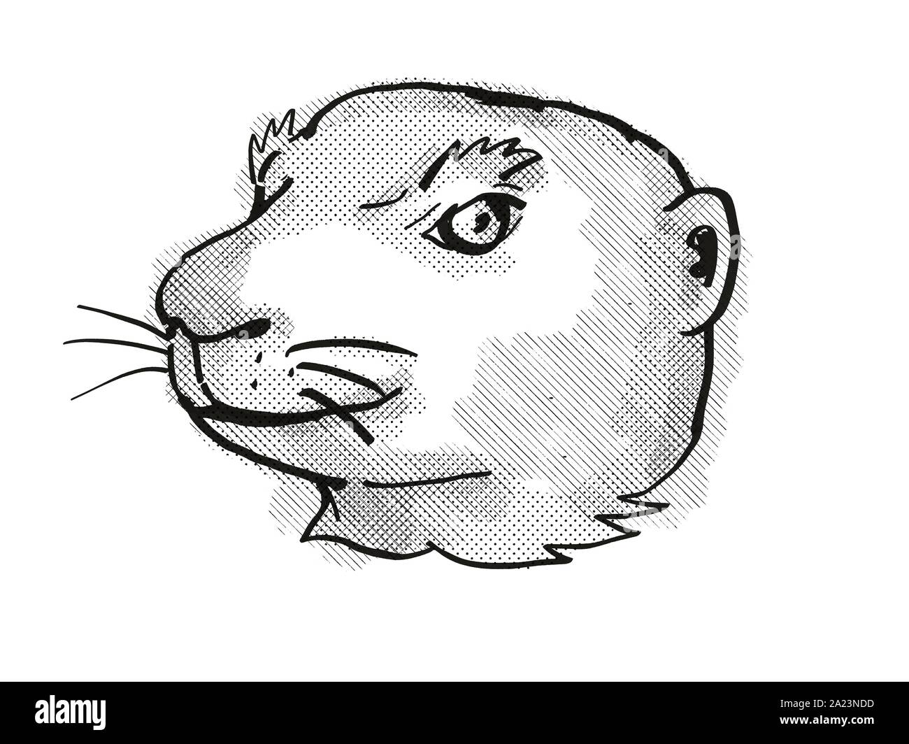 Prairie Dogs Drawing