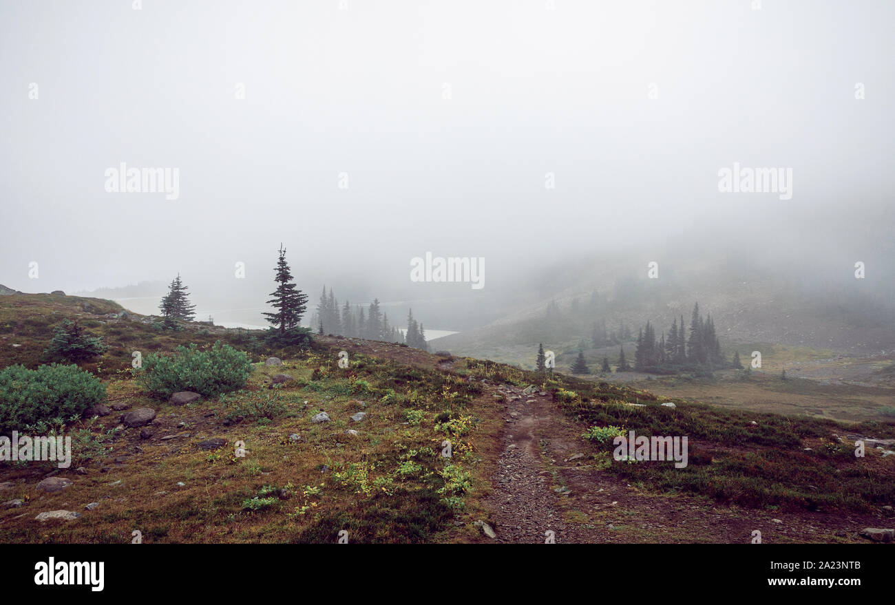 Moody hiking trail through deep misty forest on Panorama Ridge, in ...