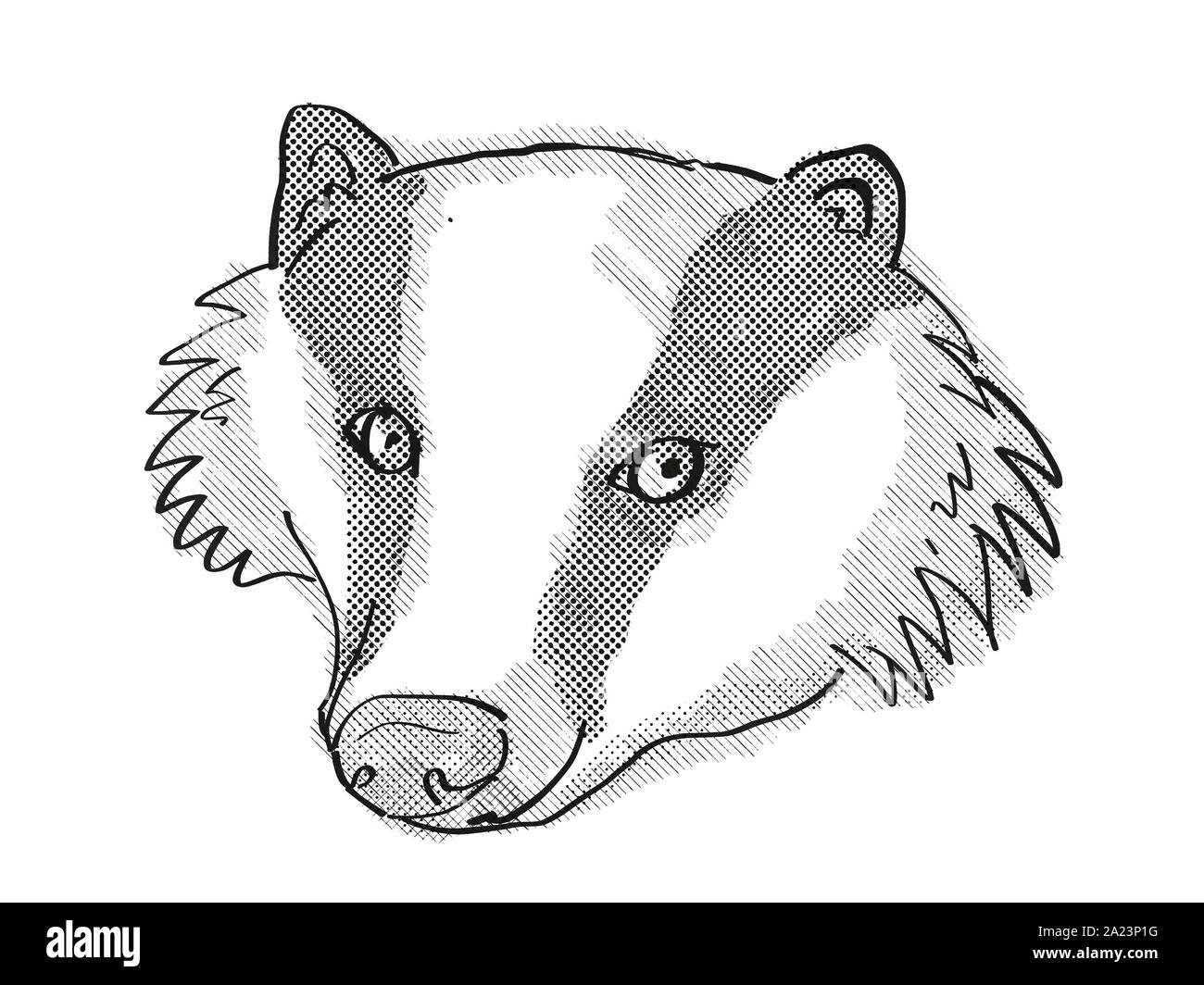 Retro cartoon style drawing of head of a Eurasian Badger on isolated ...