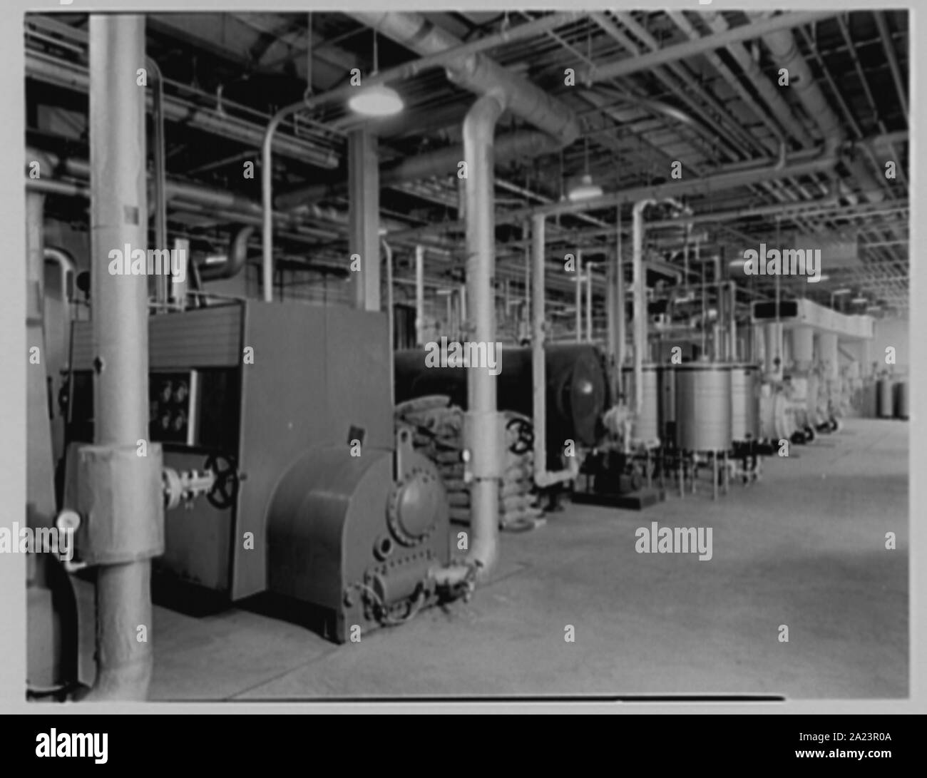 Organon Black and White Stock Photos & Images - Alamy