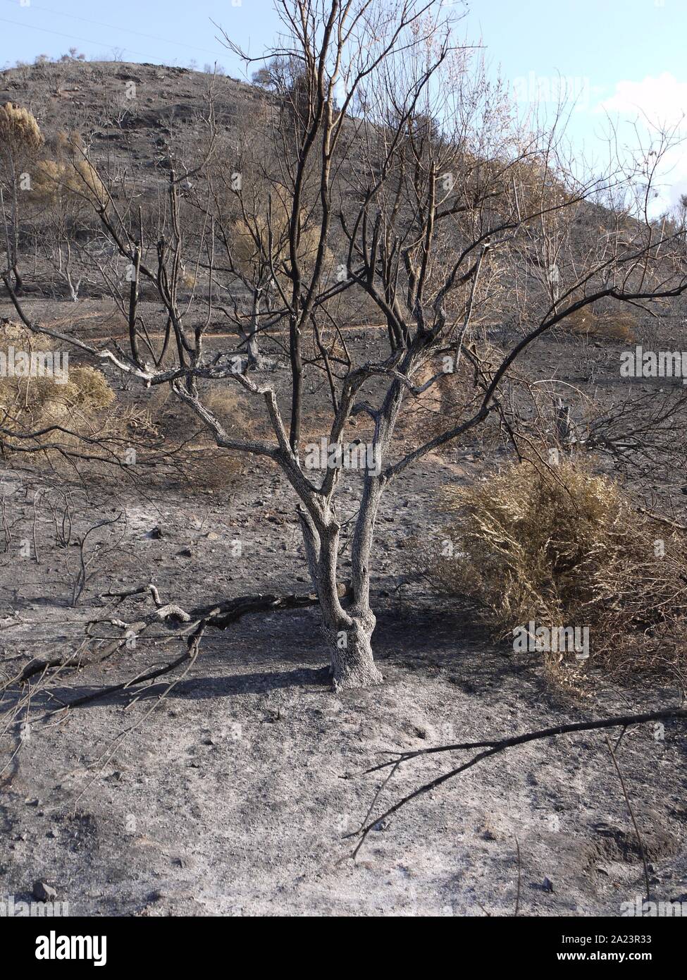 Burned fireman helmet hi-res stock photography and images - Alamy