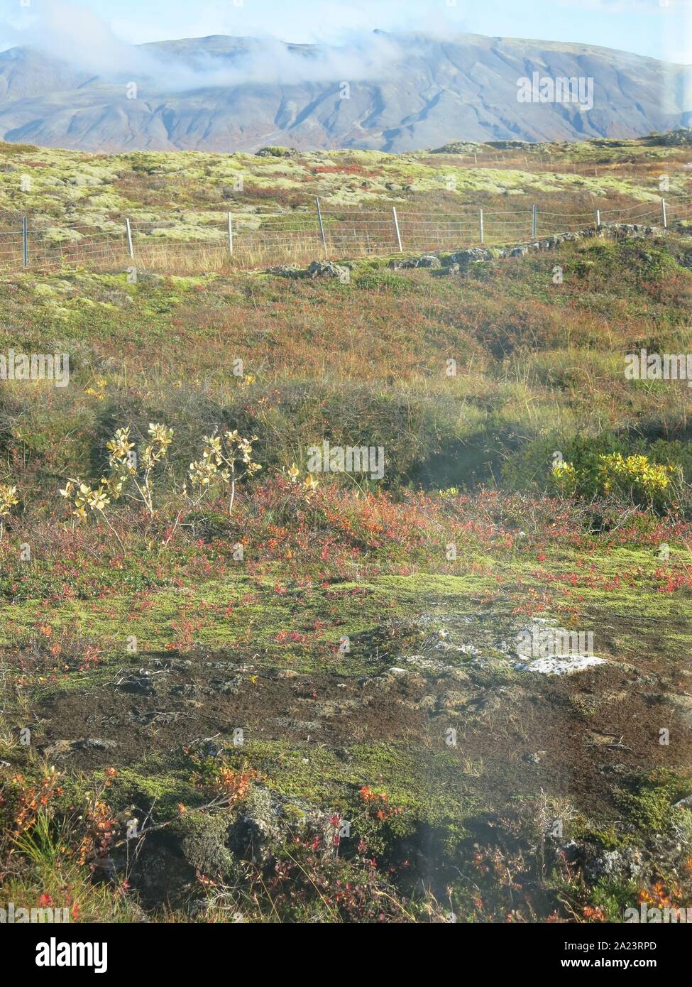 Plain Thingvellir High Resolution Stock Photography and Images - Alamy