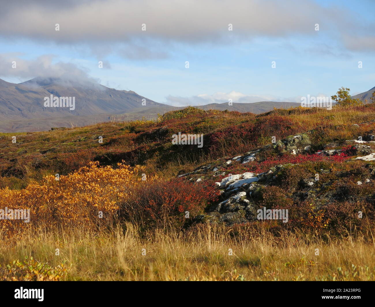 The stunning scenery in Thingvellir National Park on a sunny autumnal ...