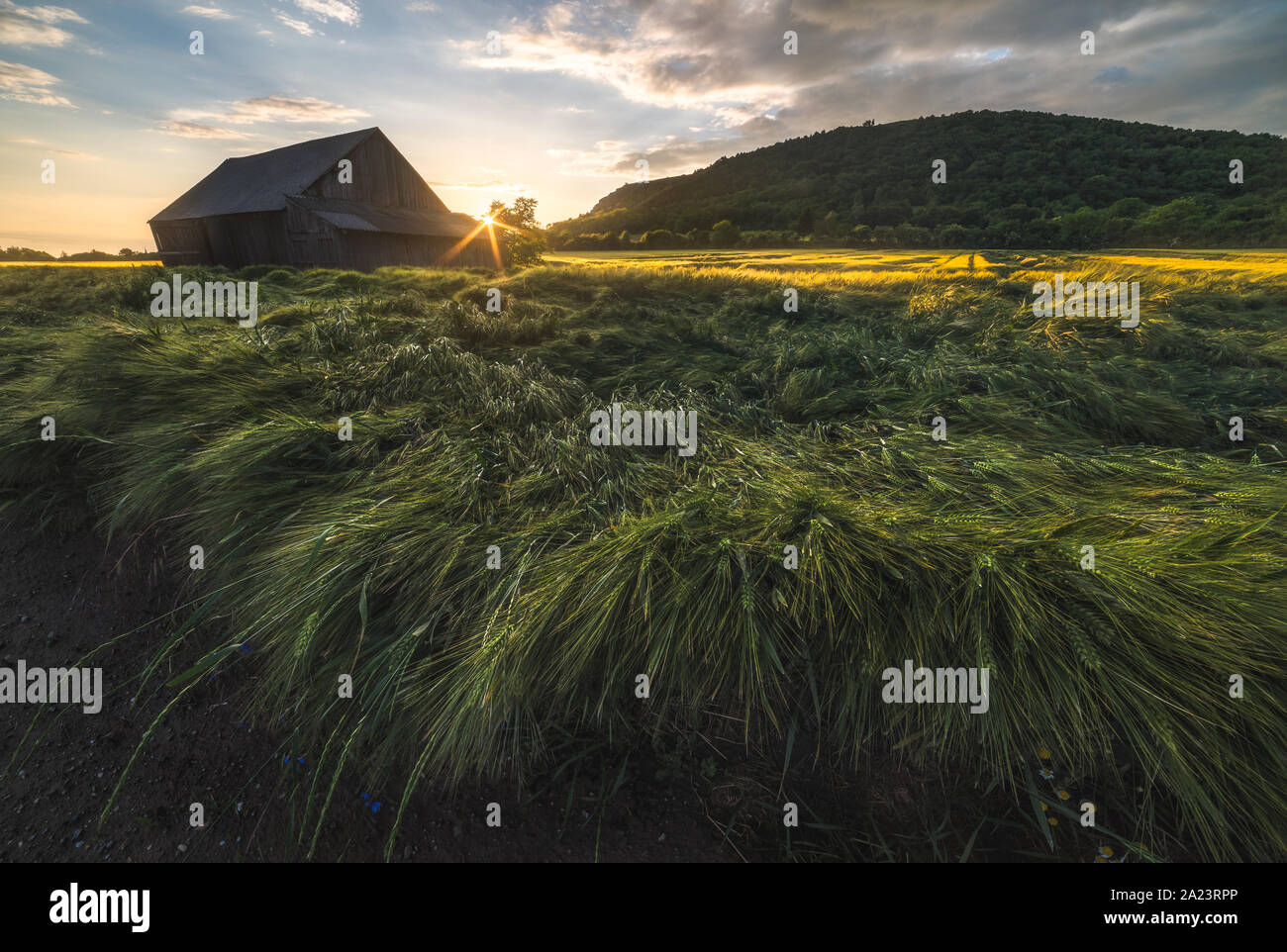 Old Shack in the Field at Sunset Stock Photo - Alamy