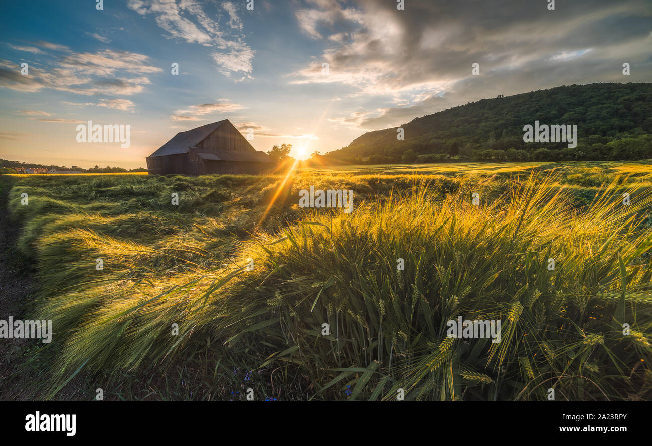 Old Shack in the Field at Sunset Stock Photo - Alamy