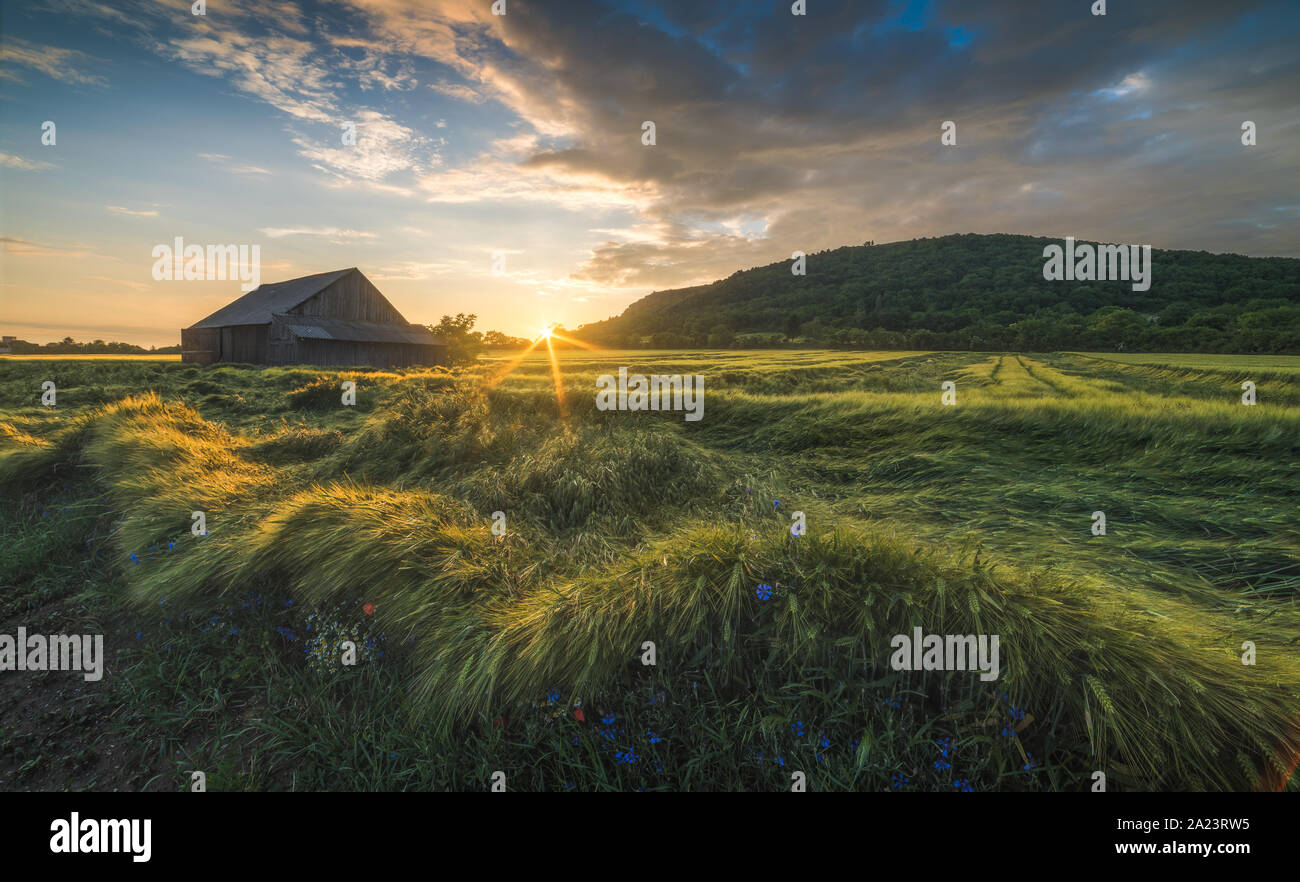 Old Shack in the Field at Sunset Stock Photo - Alamy