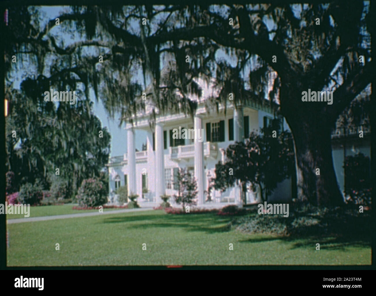 Orton Plantation, Wilmington, North Carolina Stock Photo - Alamy