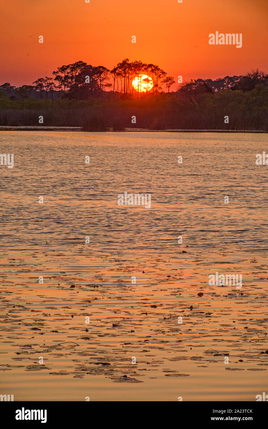 St marks river florida hi-res stock photography and images - Alamy