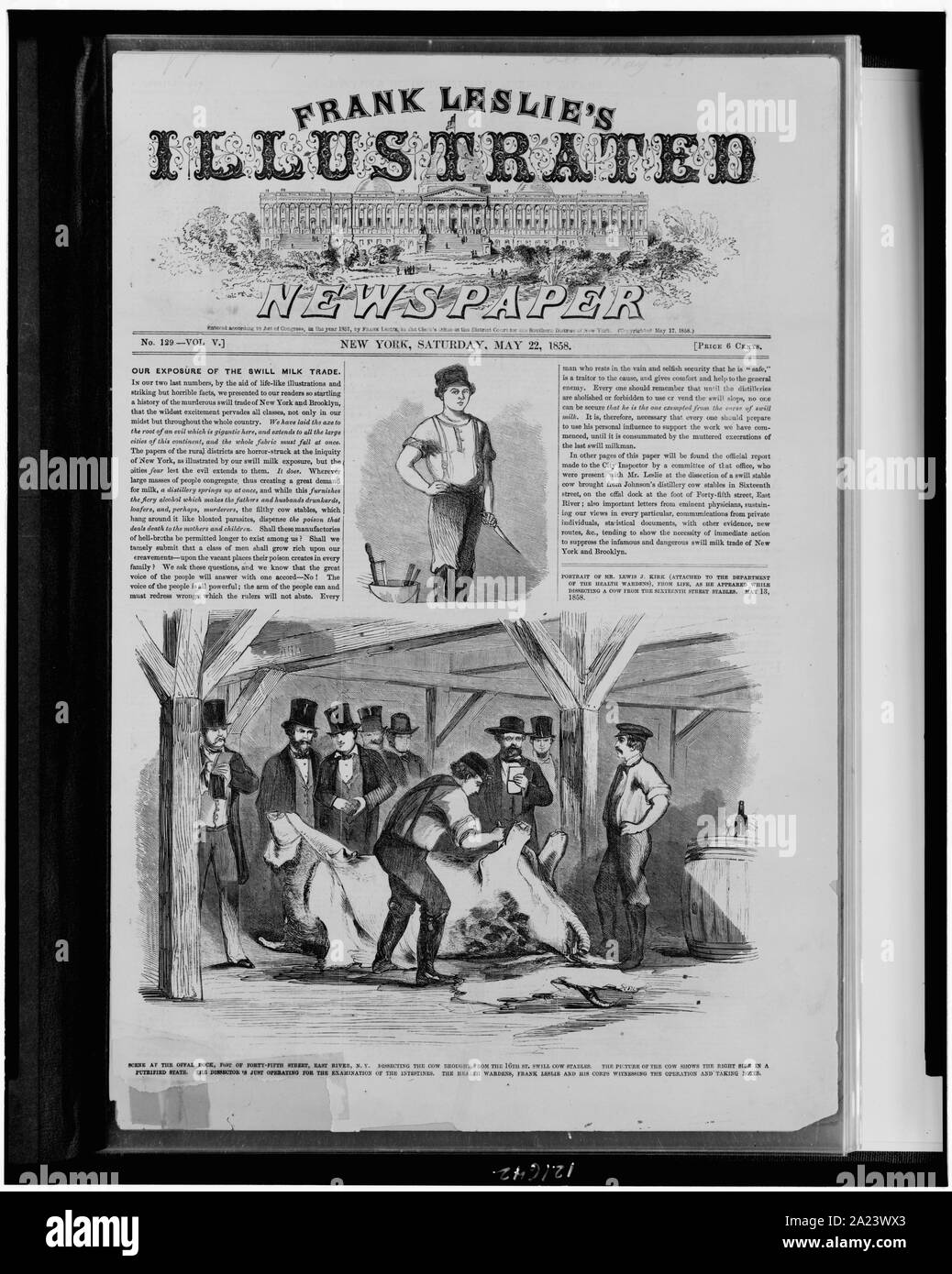 Swill milk Cut Out Stock Images & Pictures - Alamy