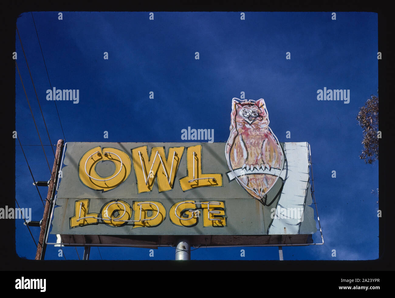 Owl lodge sign hi-res stock photography and images - Alamy