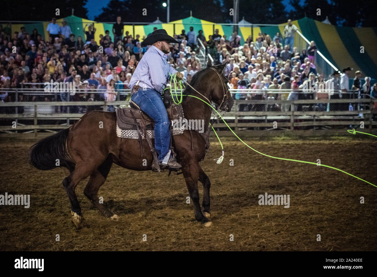 Country fair calf roping contest Stock Photo - Alamy