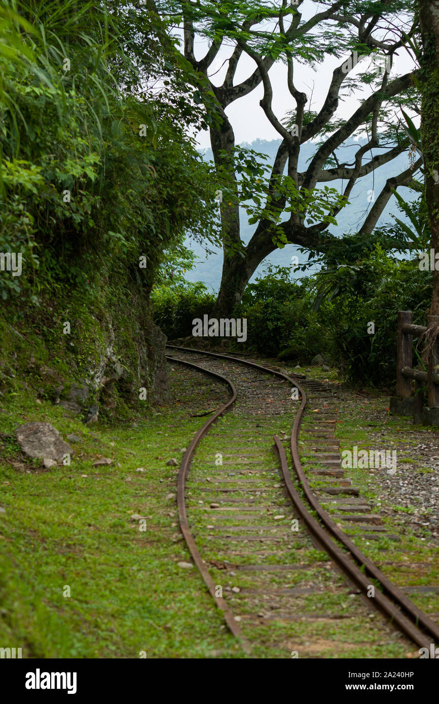 Old train tracks, empty forest railway, forest tram, timber line ...