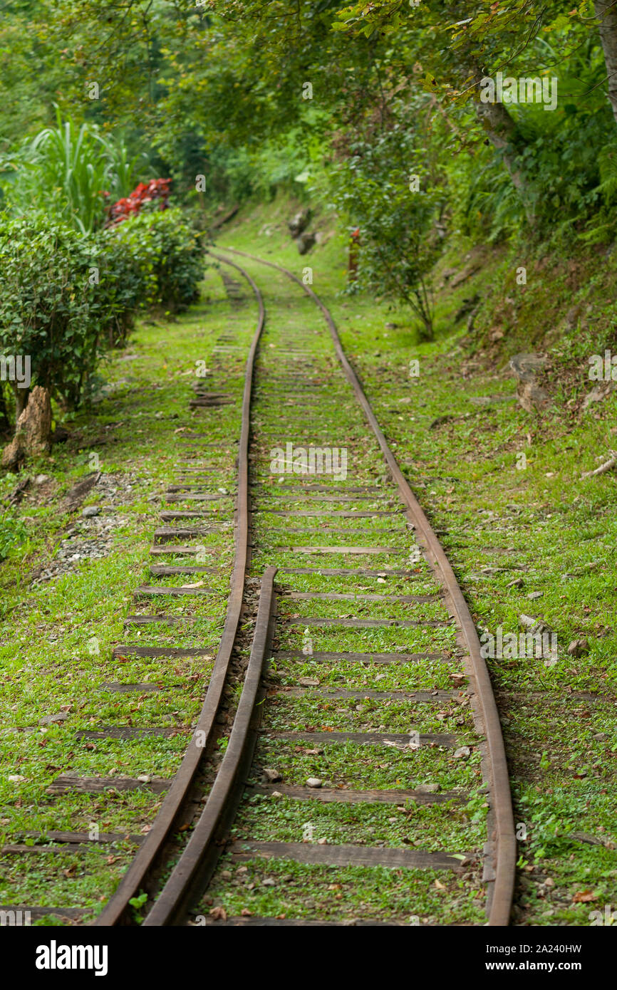 Logging trains hi-res stock photography and images - Alamy