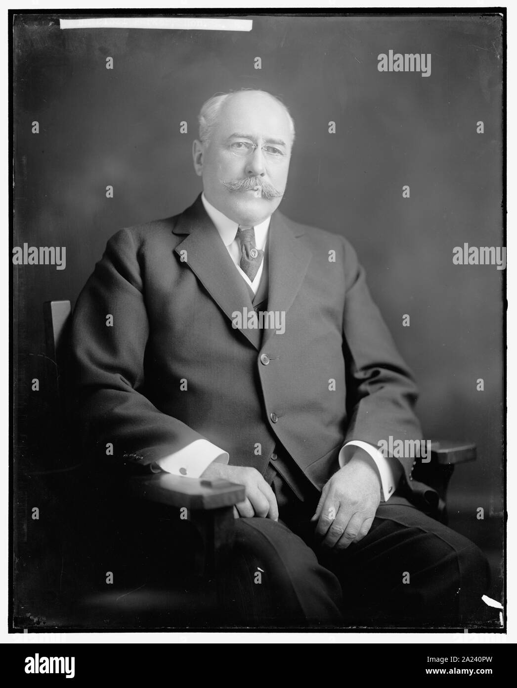 Portrait of parker Cut Out Stock Images & Pictures - Alamy