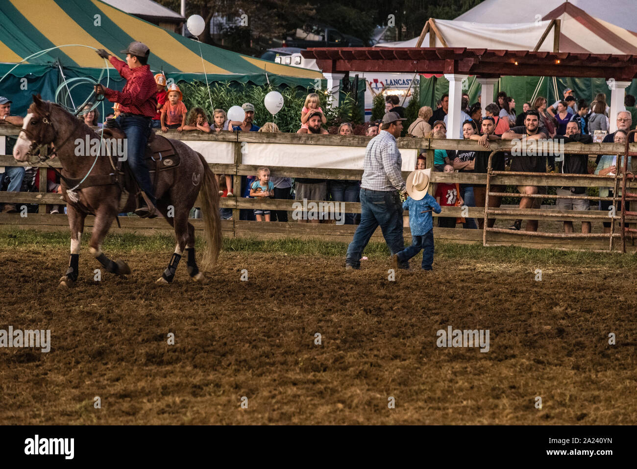 Country fair calf roping contest Stock Photo - Alamy