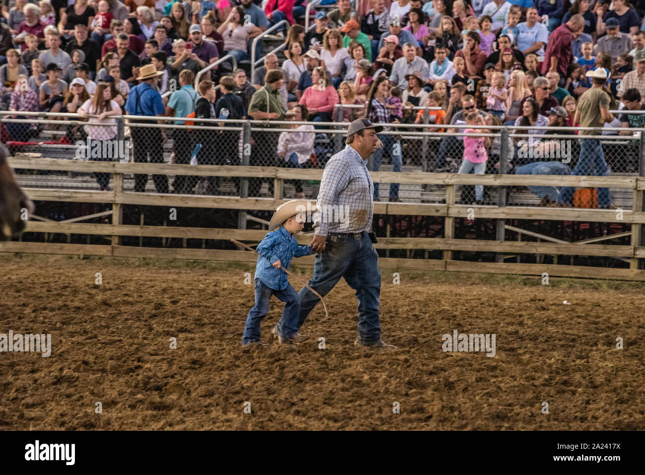 Country fair calf roping contest Stock Photo - Alamy