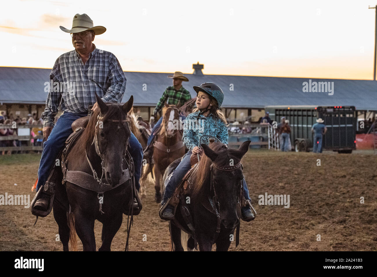 Country fair calf roping contest Stock Photo - Alamy