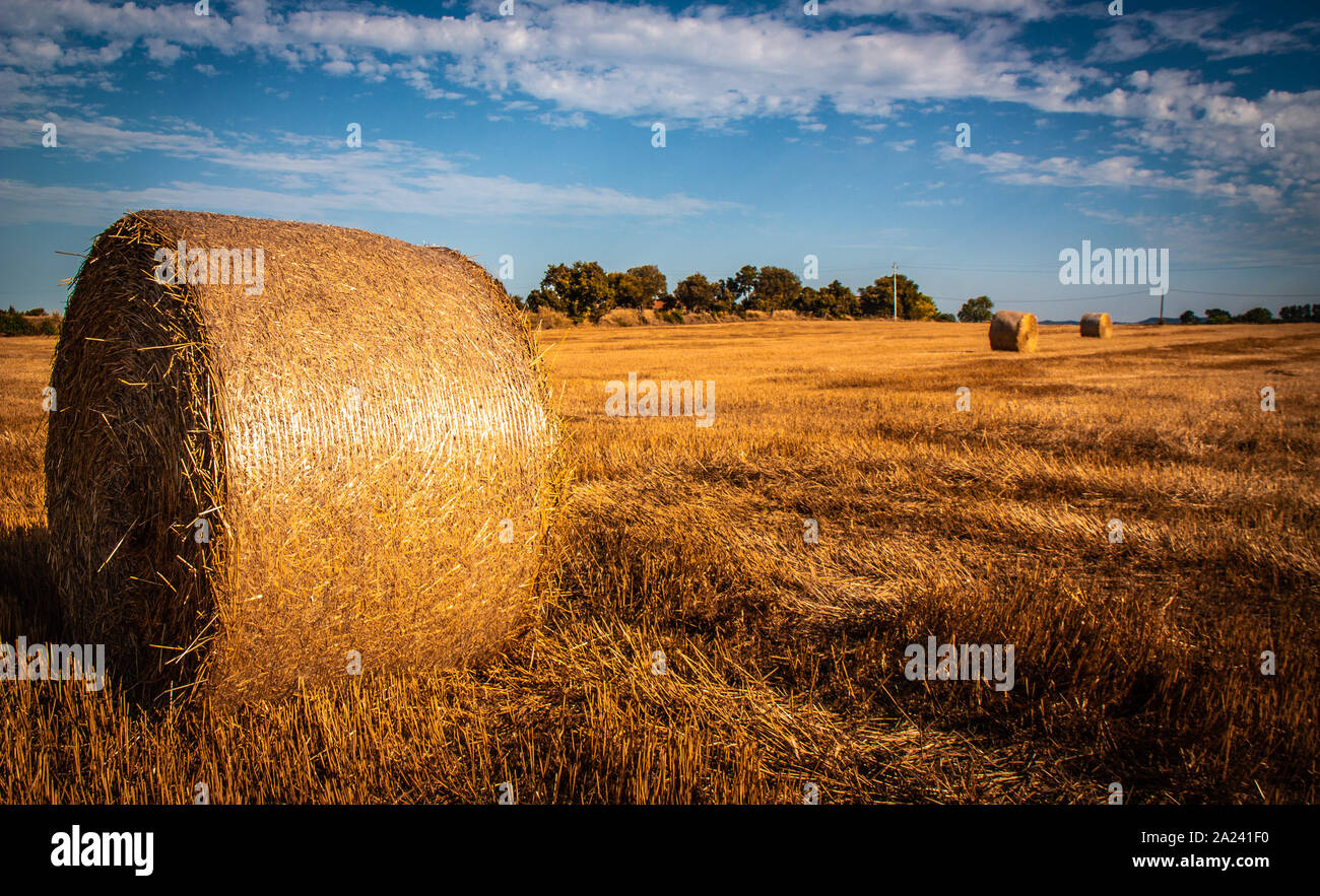Golden straw rolls in a meadow in Spain Stock Photo - Alamy