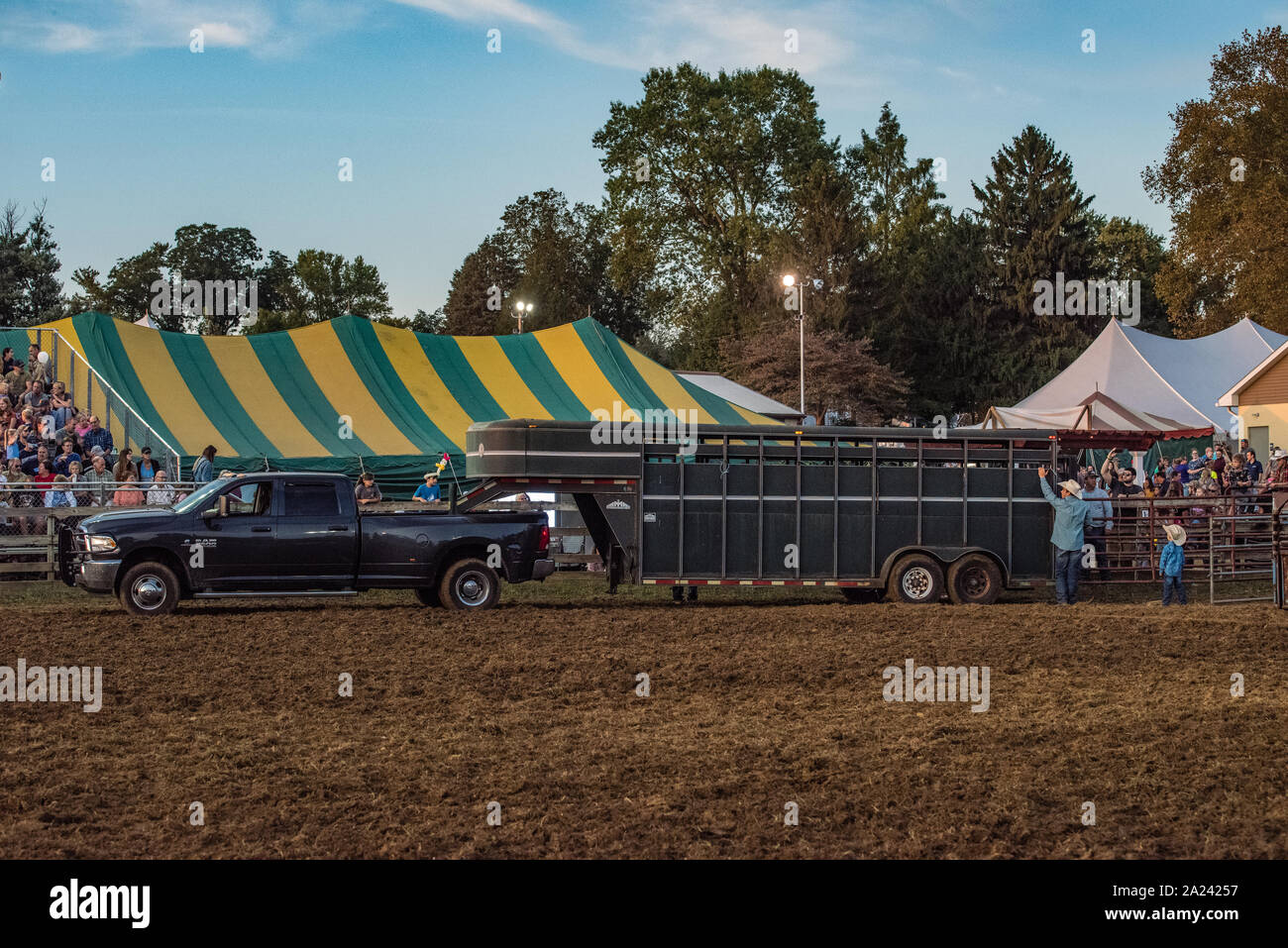 Country fair calf roping contest Stock Photo - Alamy