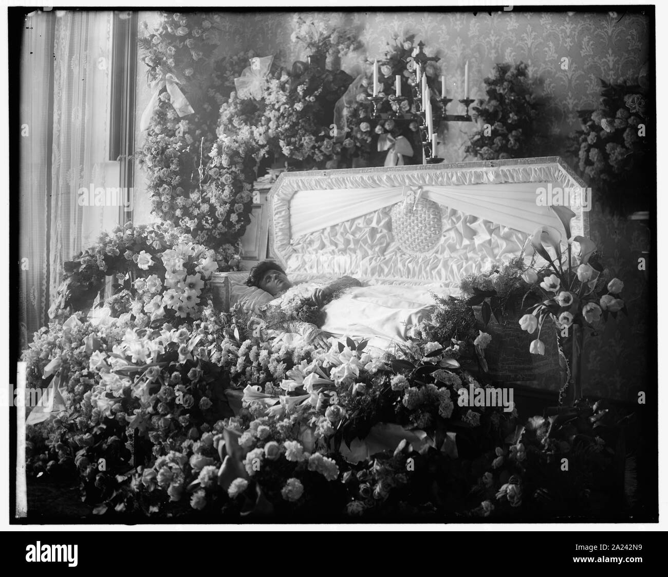 Pluym hi-res stock photography and images - Alamy