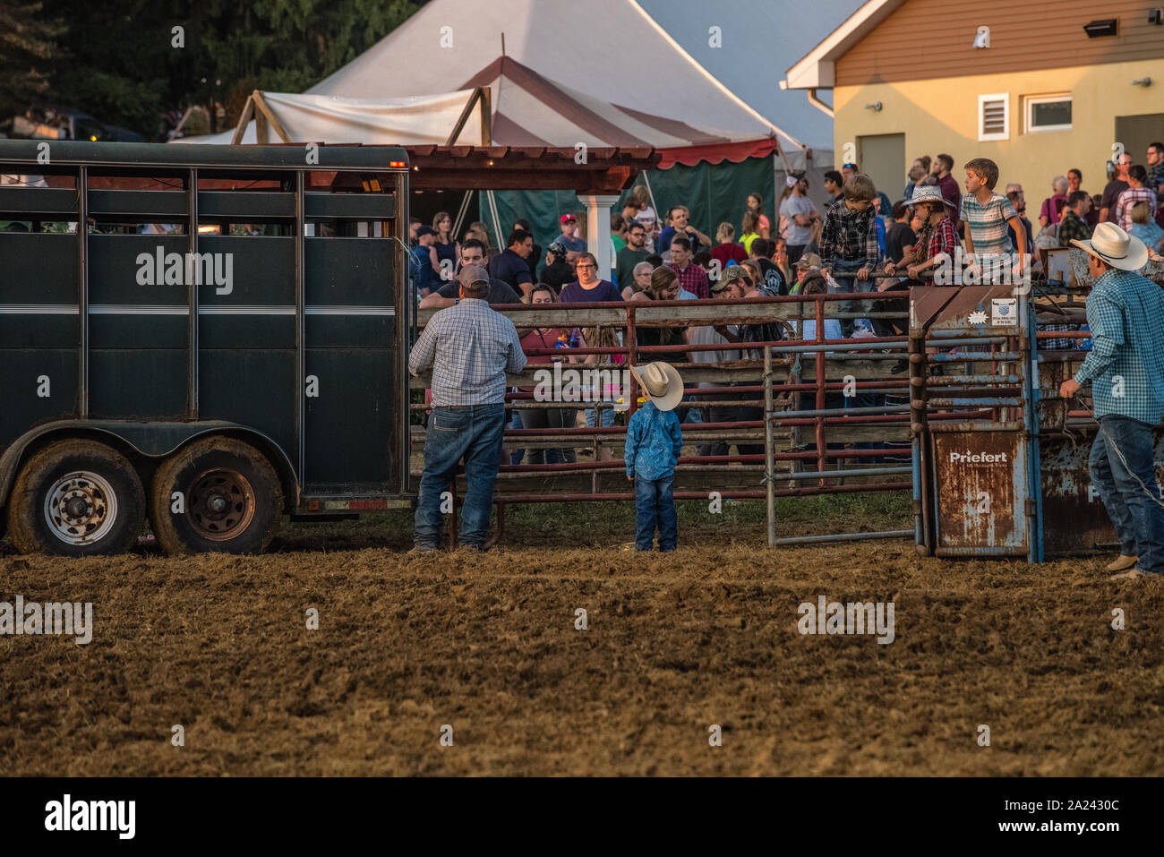 Country fair calf roping contest Stock Photo - Alamy