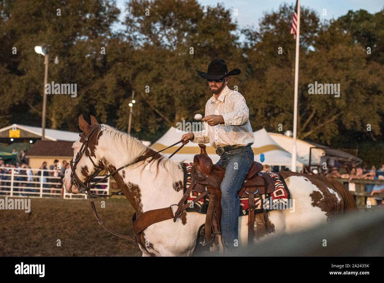Country fair calf roping contest Stock Photo - Alamy
