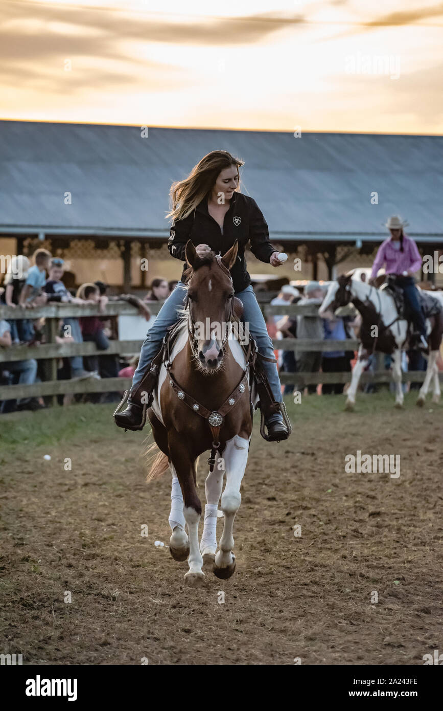 Country fair calf roping contest Stock Photo - Alamy