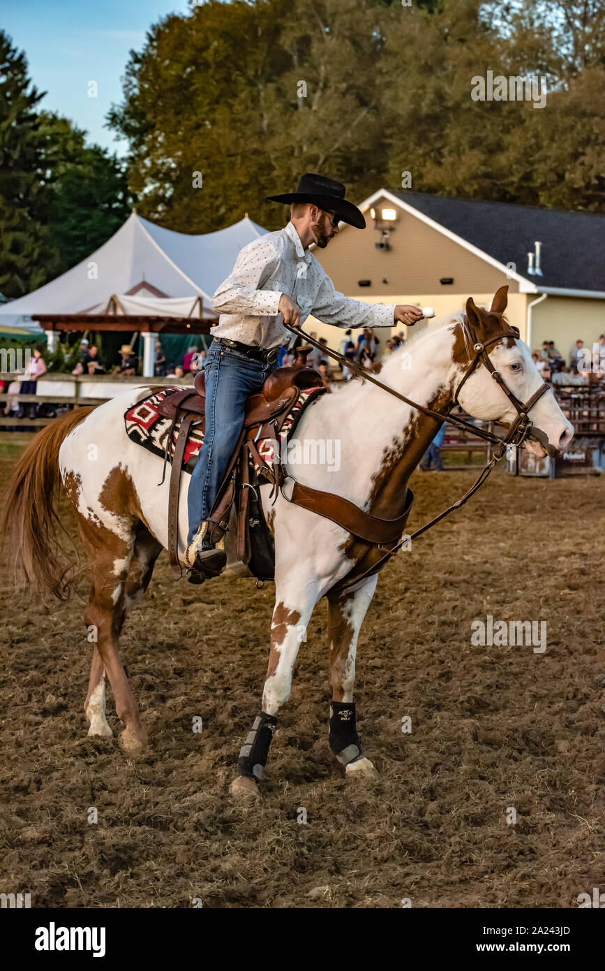 Country fair calf roping contest Stock Photo - Alamy