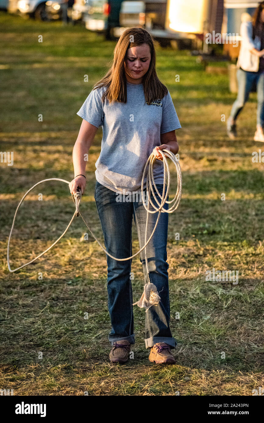 Country fair calf roping contest Stock Photo - Alamy