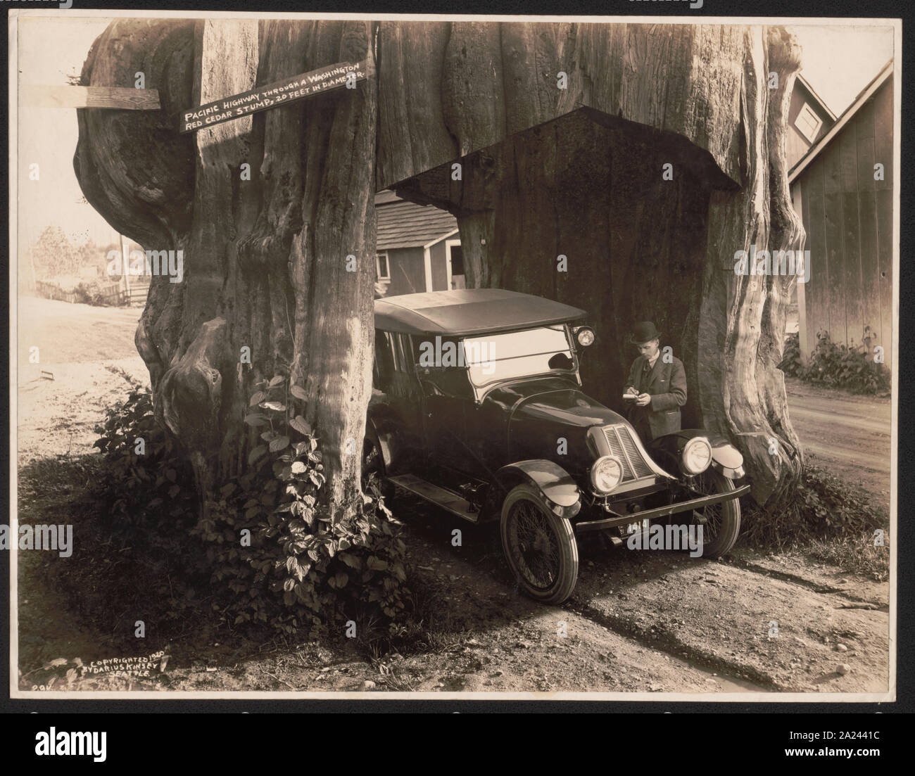 Pacific Highway through a Washington red cedar stump, 20 feet in ...