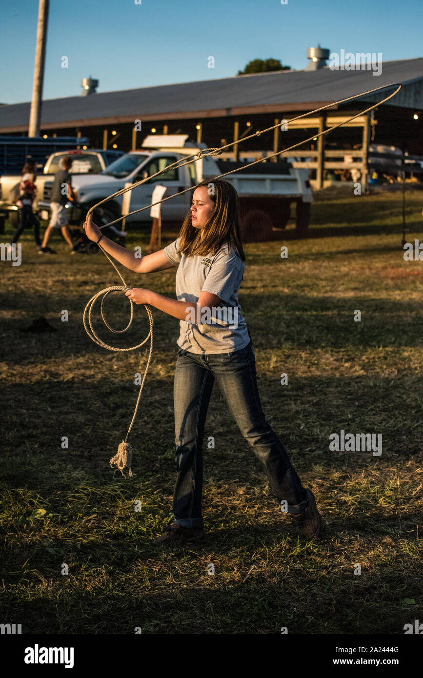 Country fair calf roping contest Stock Photo - Alamy