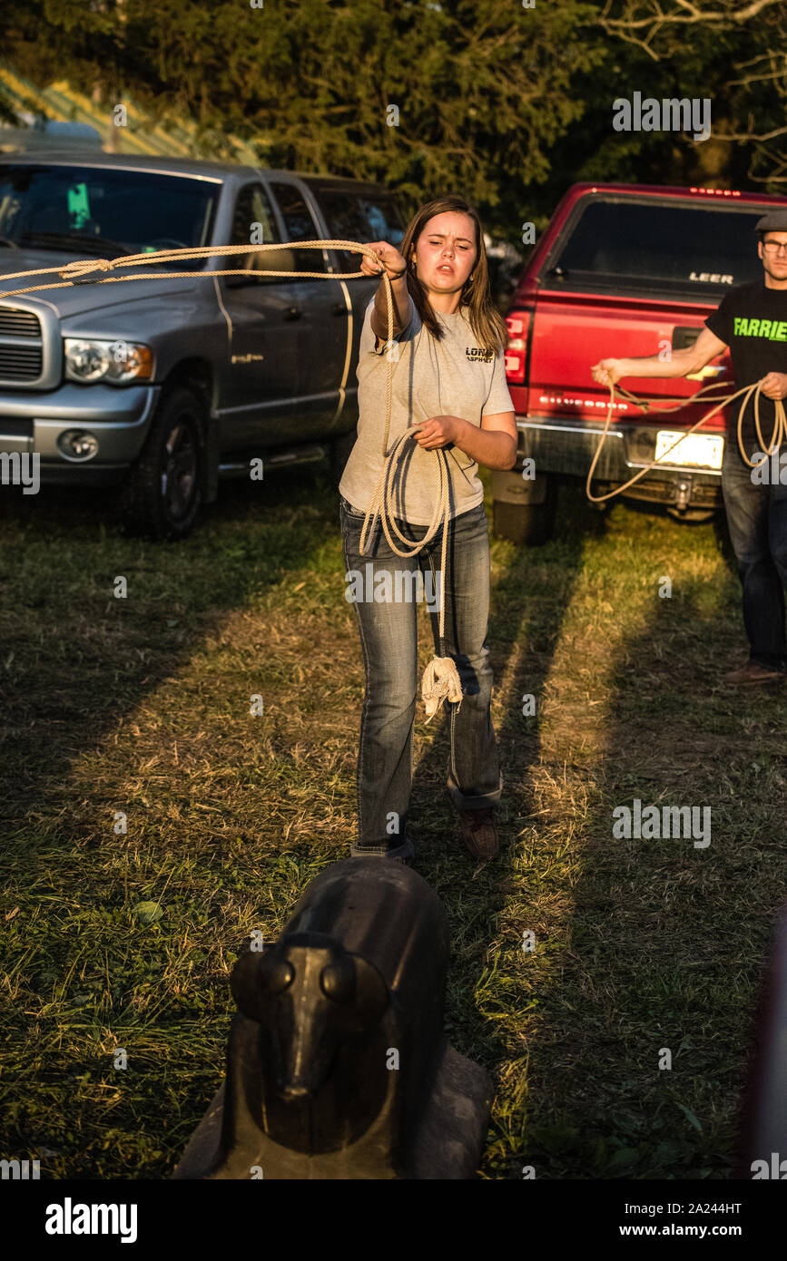Country fair calf roping contest Stock Photo - Alamy