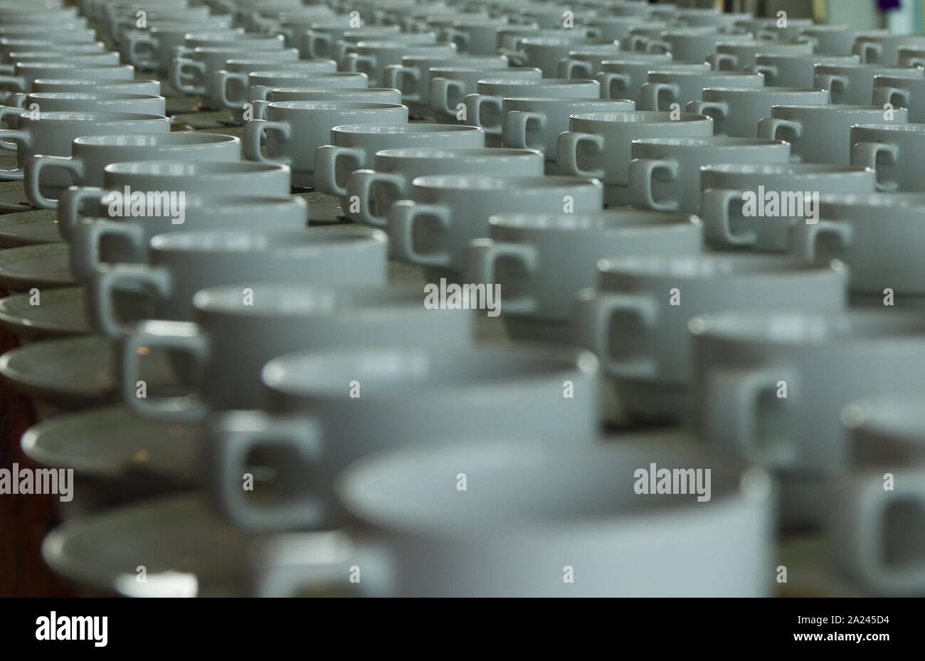 rows of empty white ceramic cups for tea break during seminar Stock ...