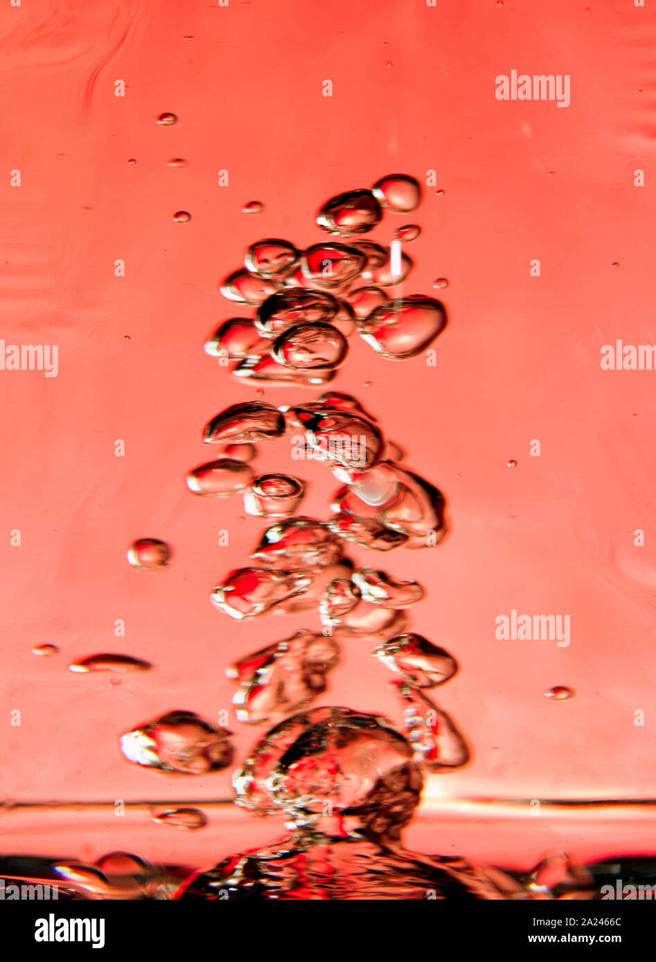 a refreshing bubble in colorful jug of beer and water Stock Photo - Alamy