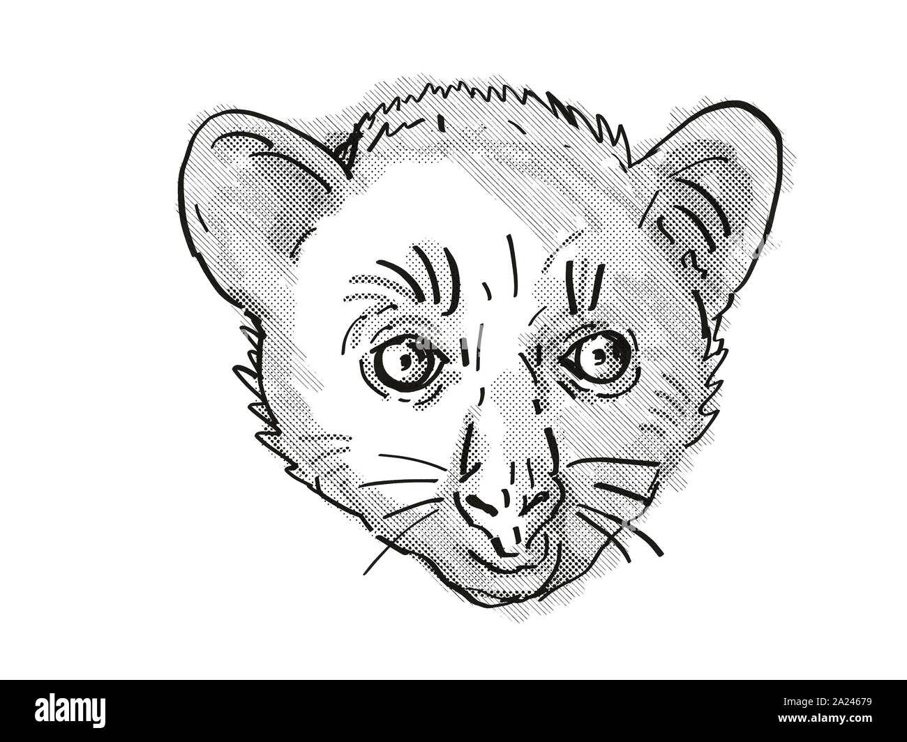 Retro cartoon style drawing of head of an Aye-Aye or Daubentonia ...