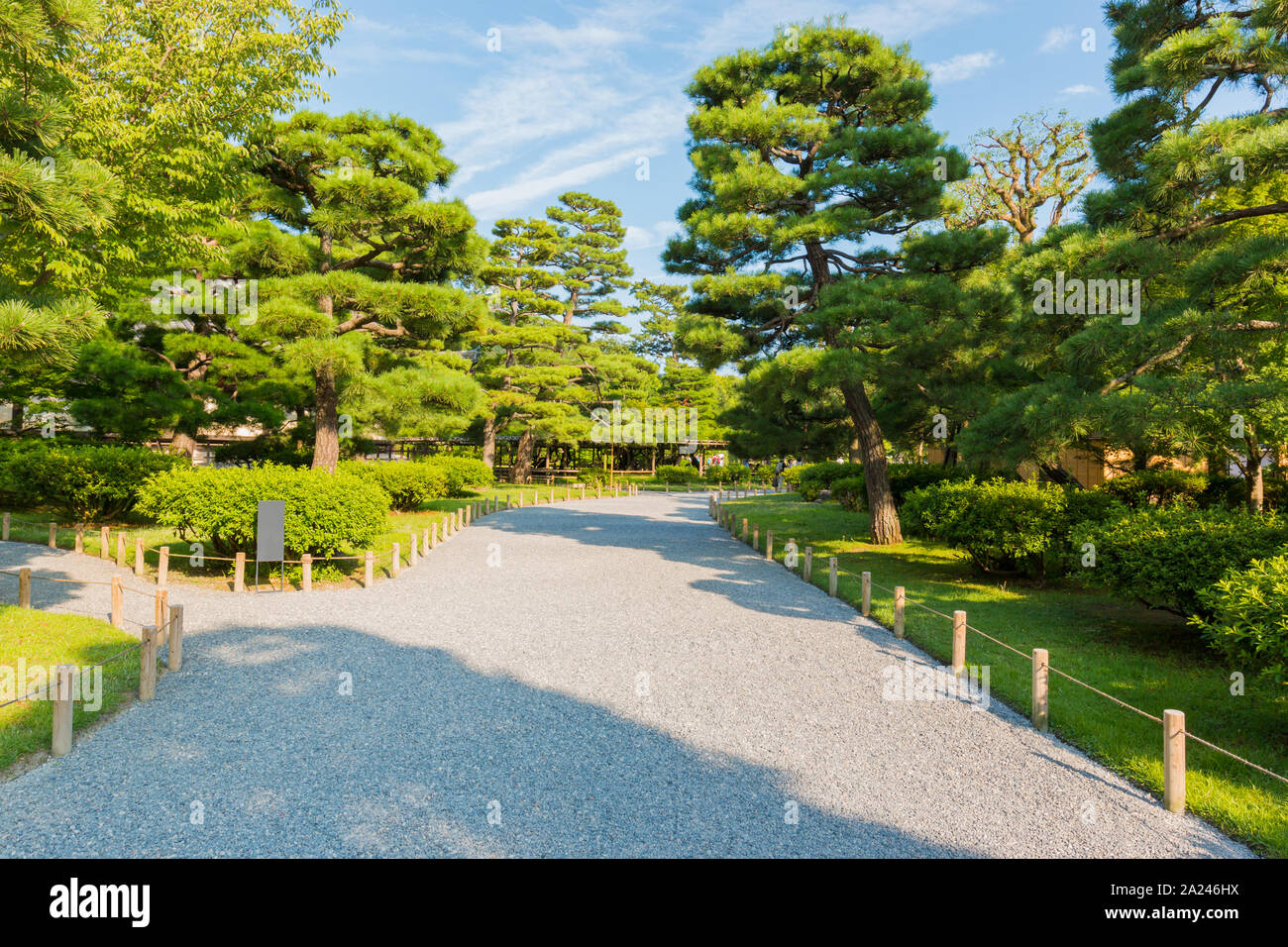 Beautiful garden in daytime outdoor nature background. evergreen garden ...