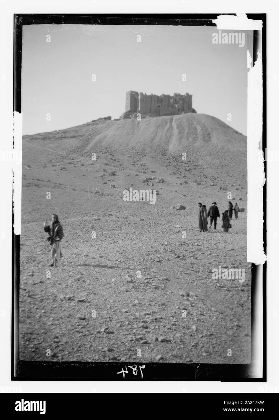 Palmyra (Tadmor). Distant view of Turkish castle Stock Photo - Alamy