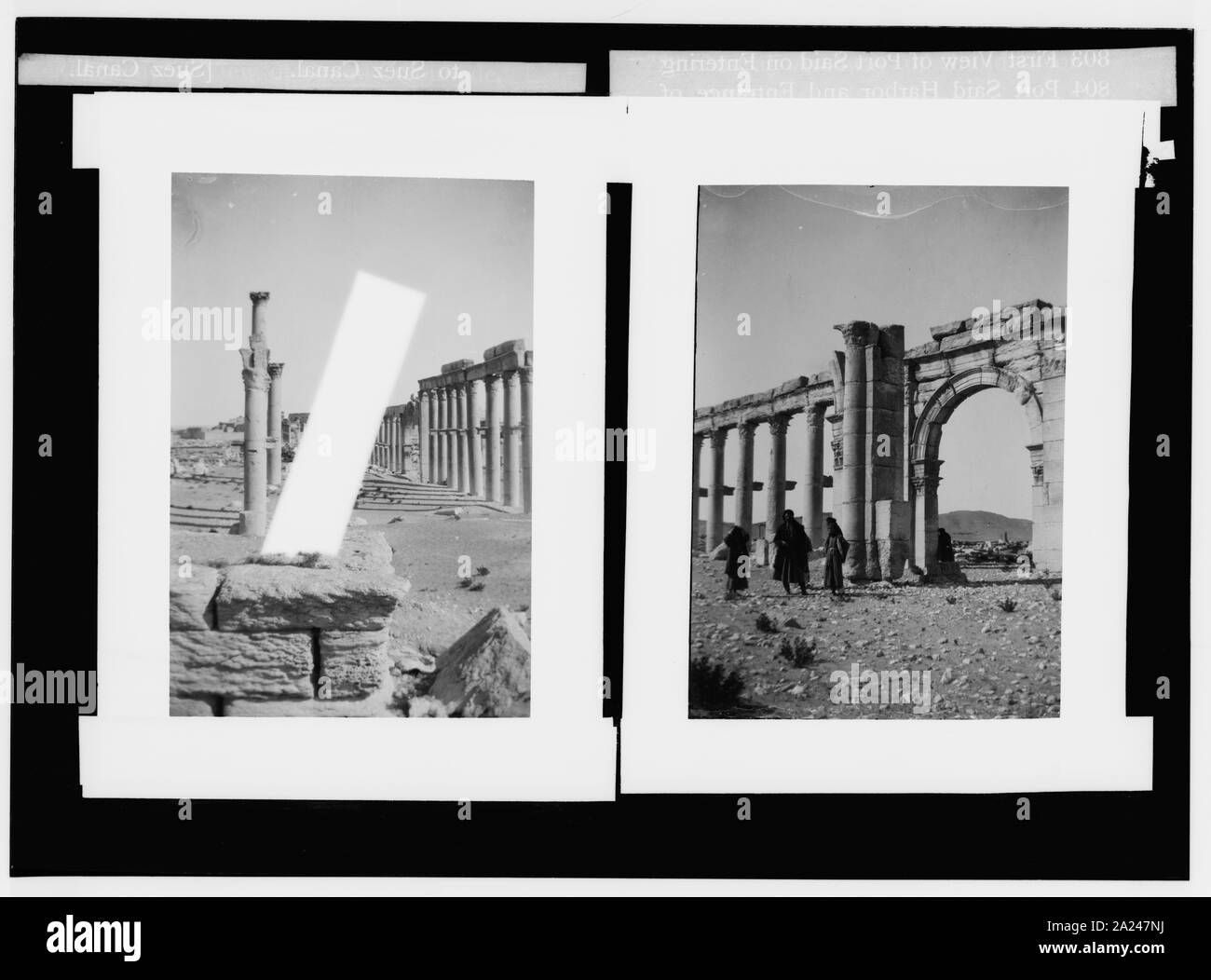 Palmyra (Tadmor). General view of the grand colonnade ; central archway ...