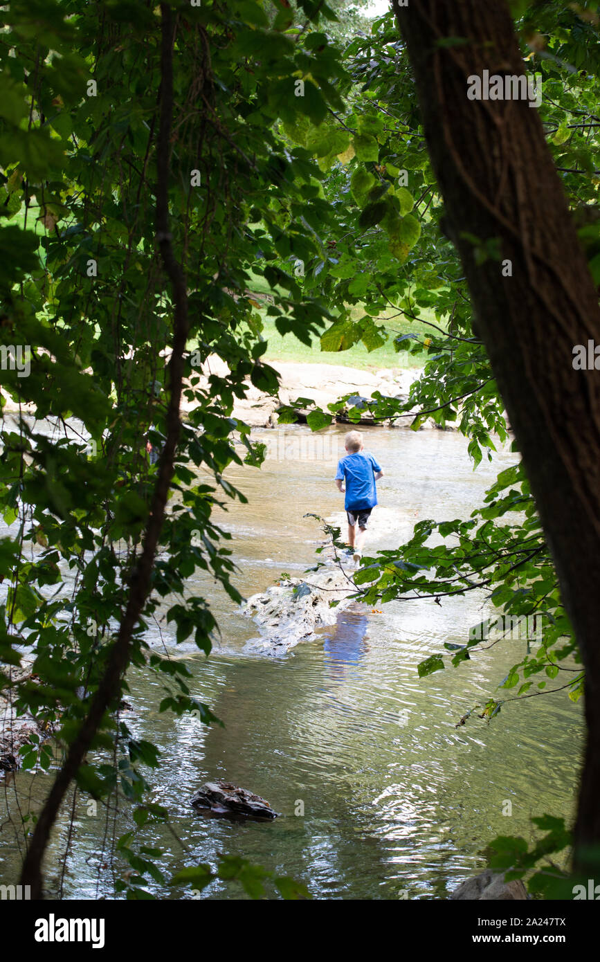 Young boys enjoy exploring in creek Stock Photo - Alamy