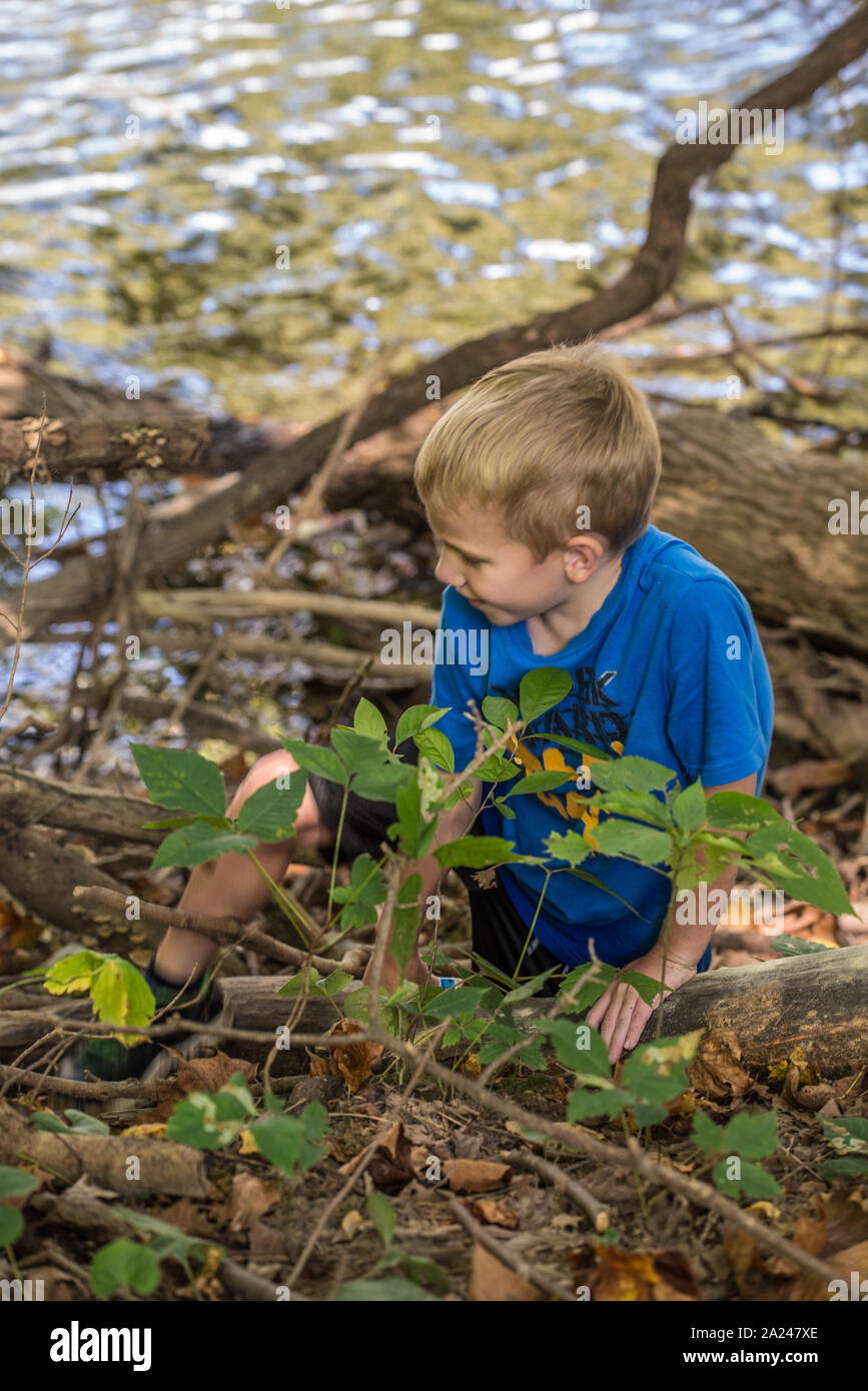 Young boys enjoy exploring in creek Stock Photo - Alamy