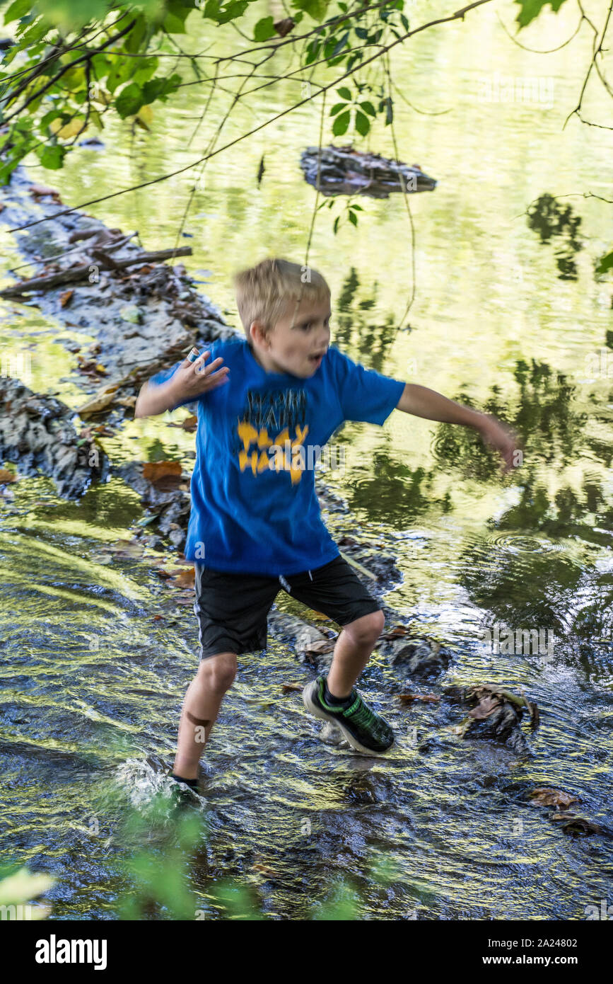 Young boys enjoy exploring in creek Stock Photo - Alamy
