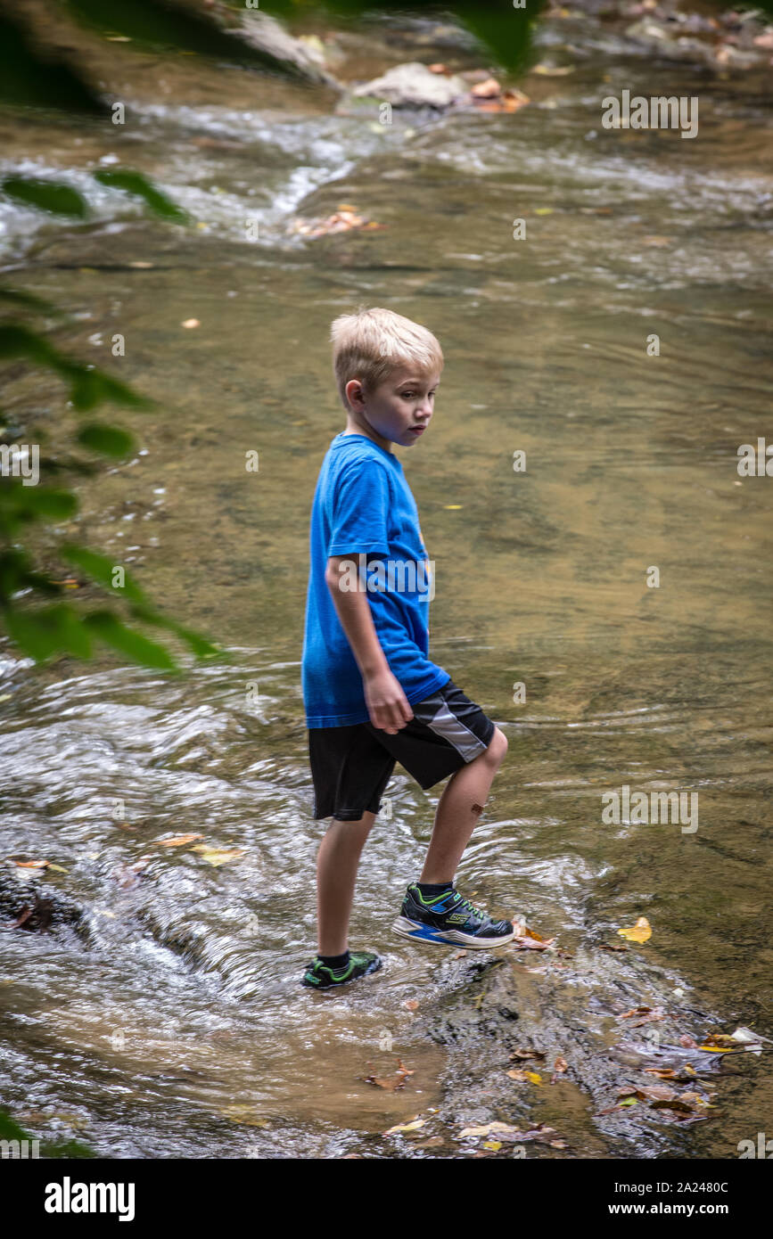 Young boys enjoy exploring in creek Stock Photo - Alamy
