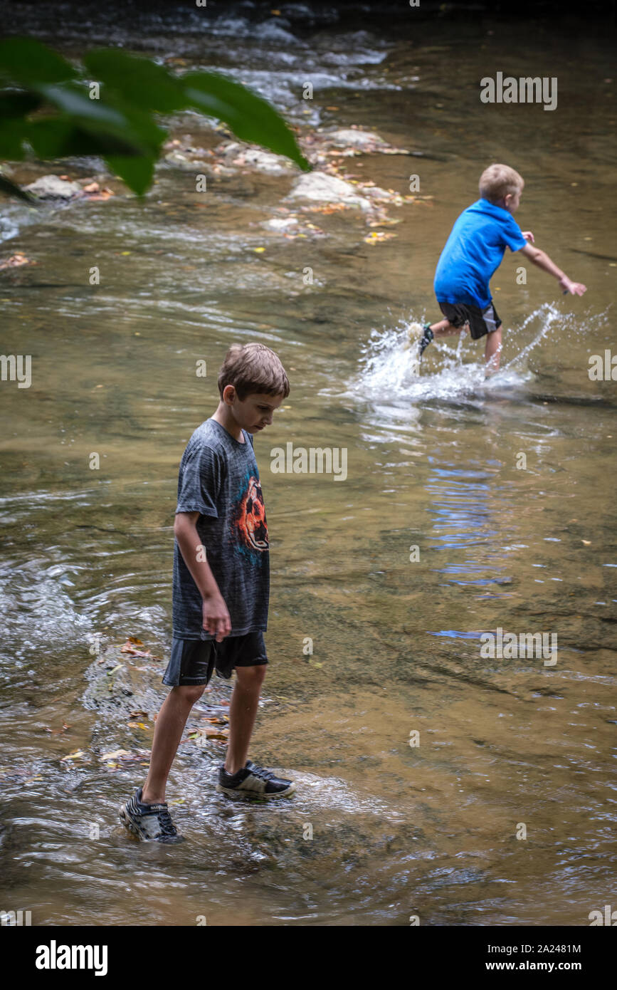Young boys enjoy exploring in creek Stock Photo - Alamy